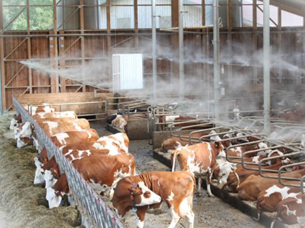 Industrial fogging and humidification to maintain structural...
